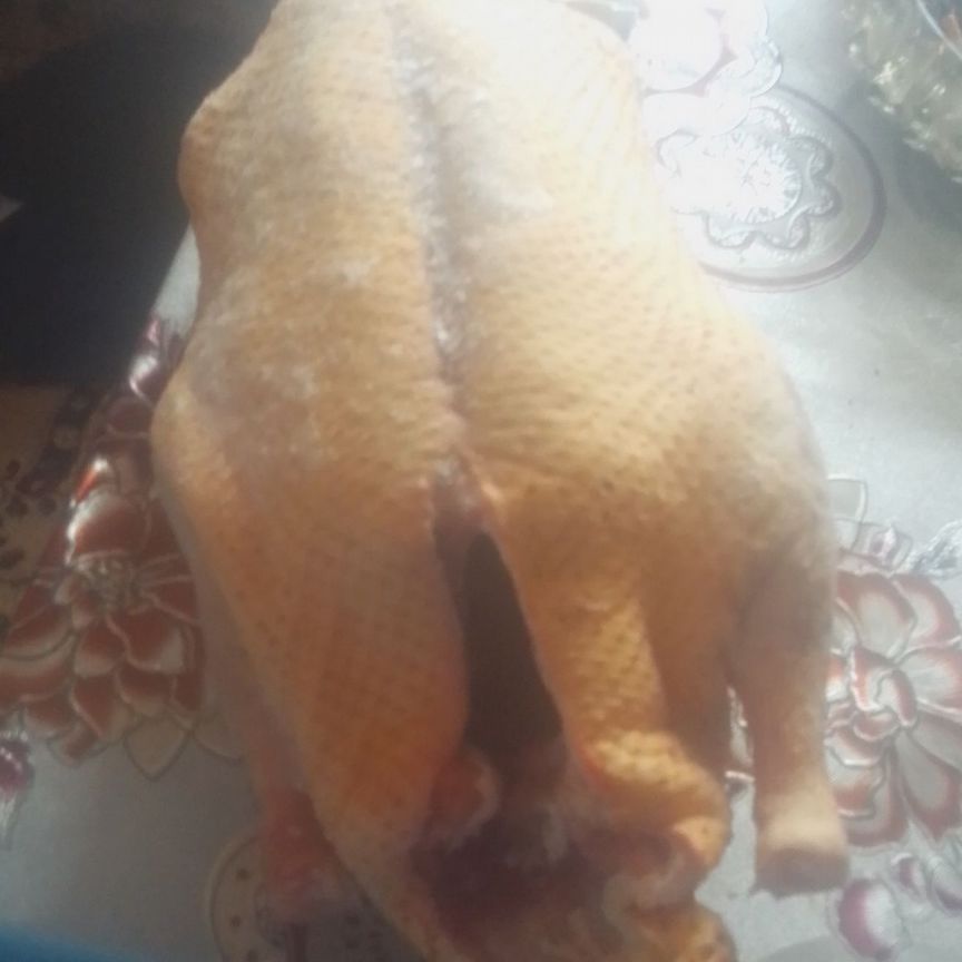 Ощипывание птицы утка 200