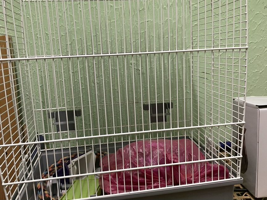 Клетка для волнистого попугая