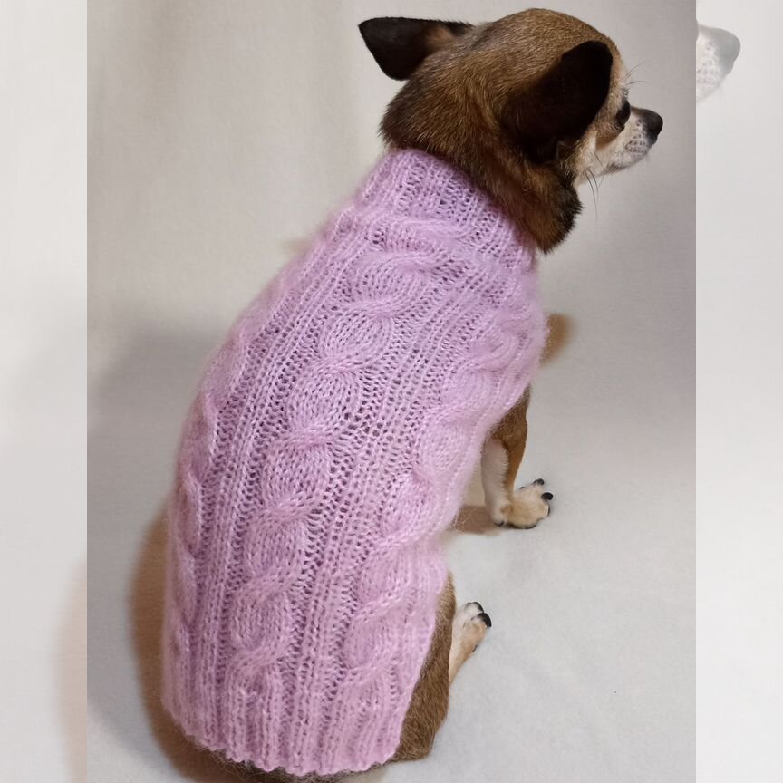 Жилетка для собак мелких пород