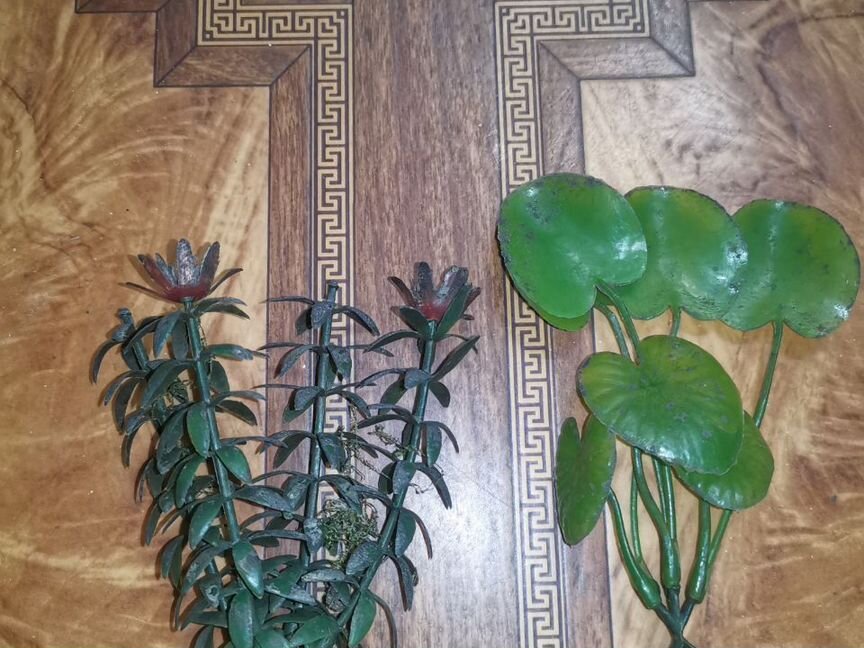 Аквариумные аксессуары