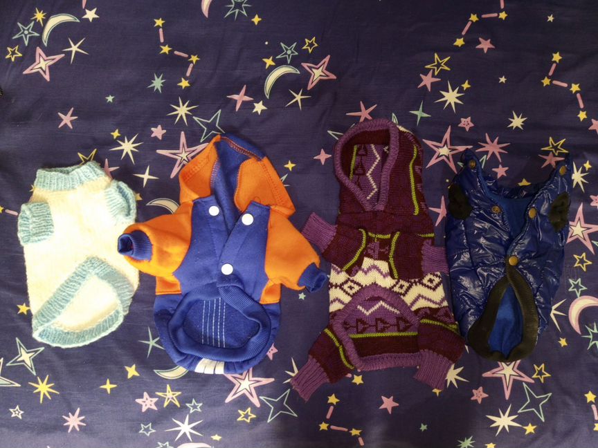 Костюм для животных