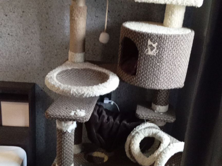 Домик для кошки с когтеточкой бу