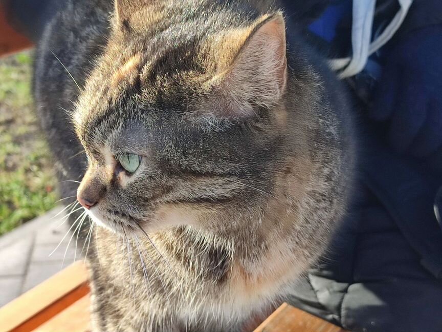 Никто не любит