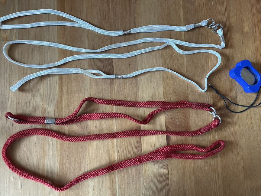 Ринговка для собак шлейка поводок для ринга кликер