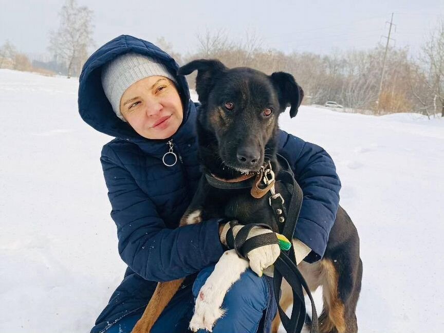 Собака Гера в добрые руки