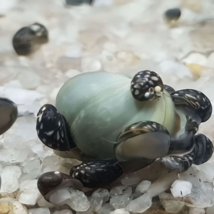 Теодоксусы