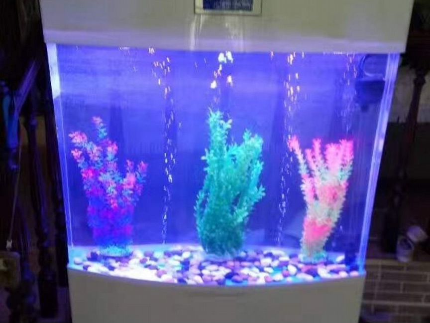 Эксклюзивный интерьерный аквариум cleair aquatics