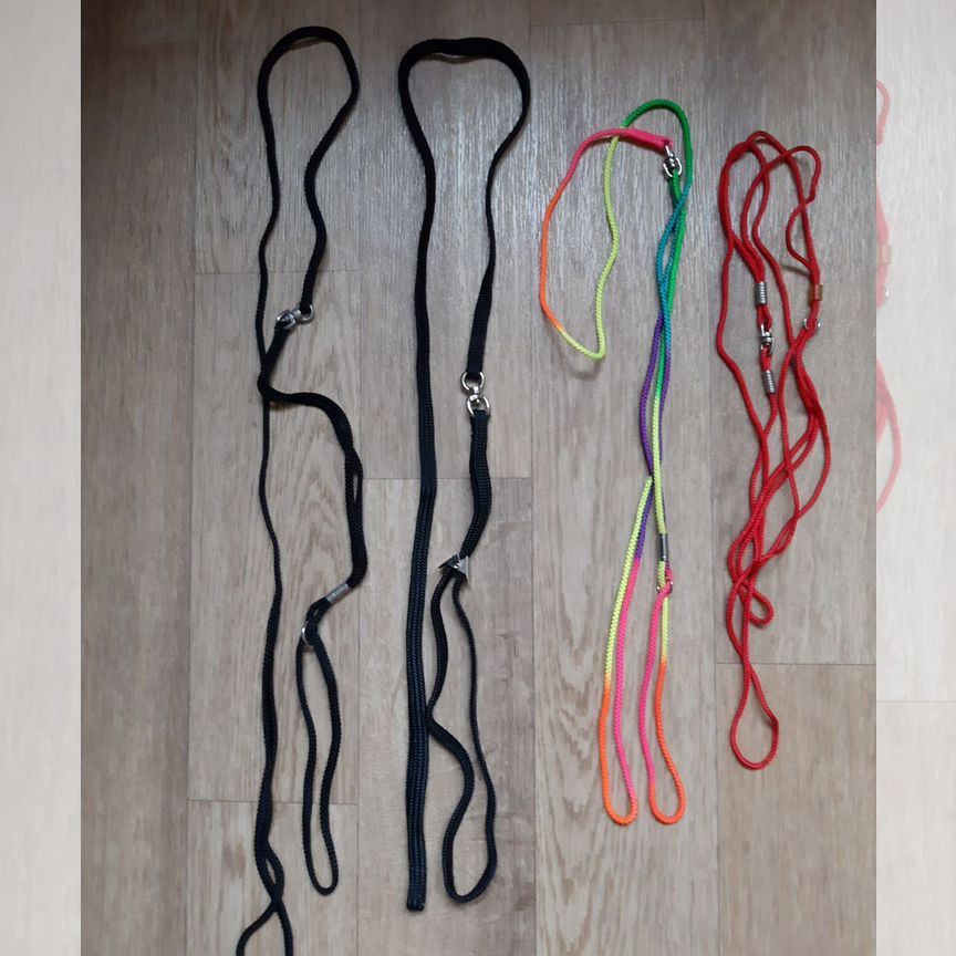 Ринговка для собак мелких пород