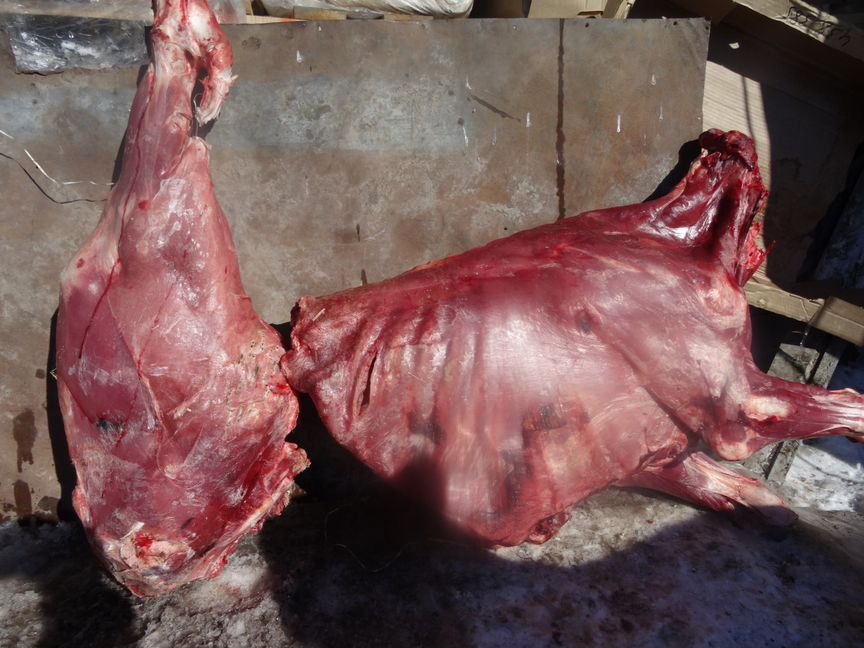 Мясо для собак