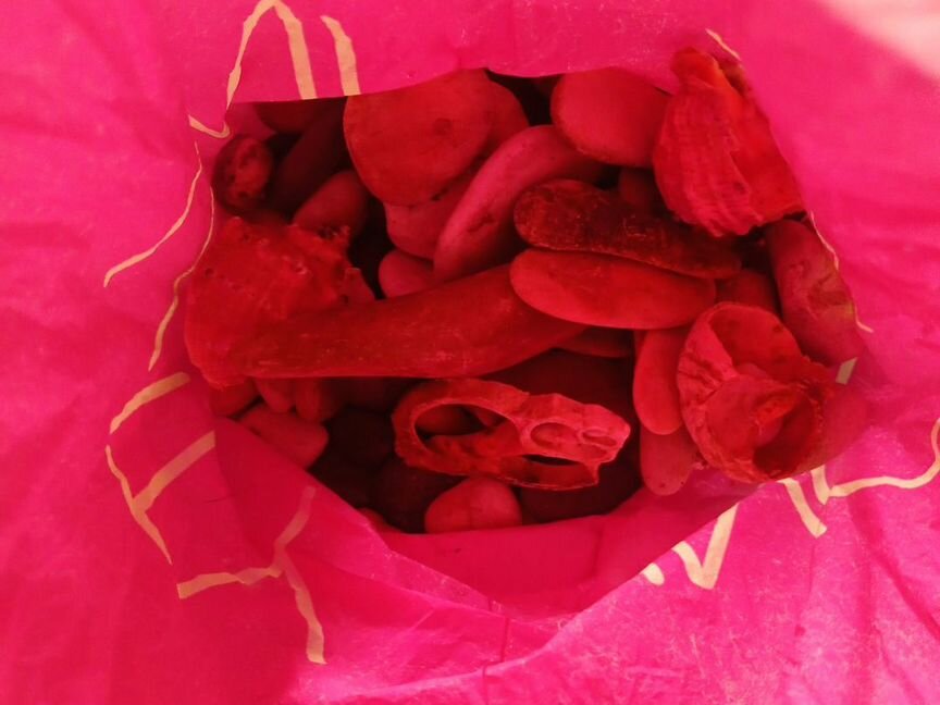 Отдаю ракушки и камушки