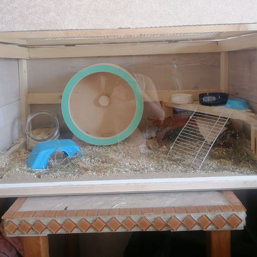 Продам витрину для хомяка