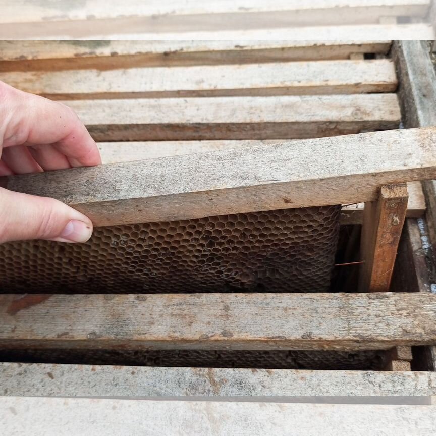 Ульи для пчел бу