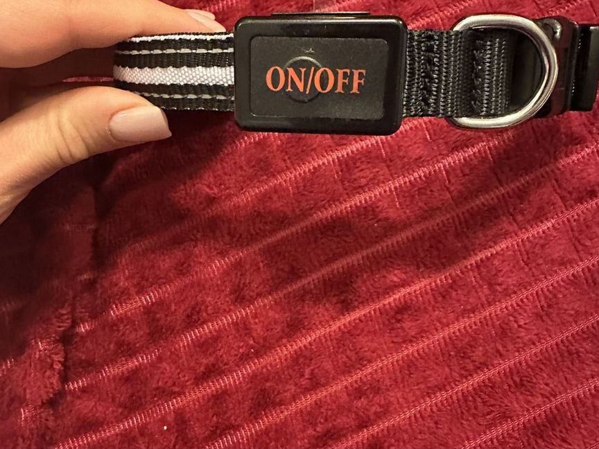 Диодный ошейник SmartDog