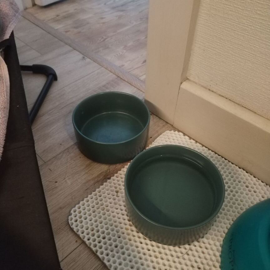 Миски для собак бу керамика