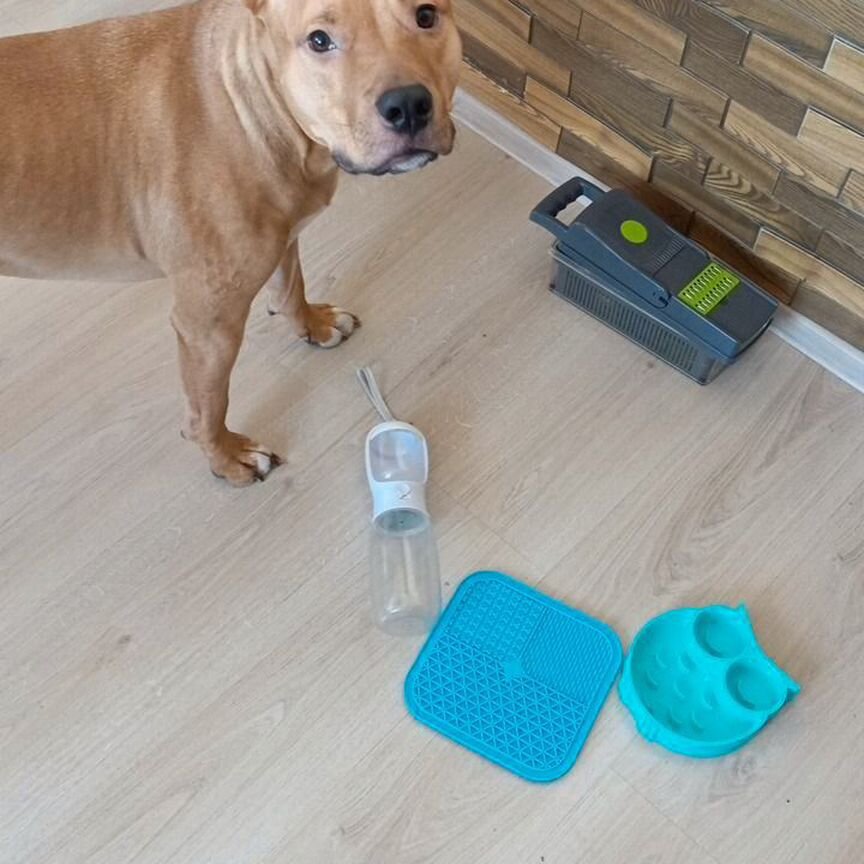 Отдам набор для щенка