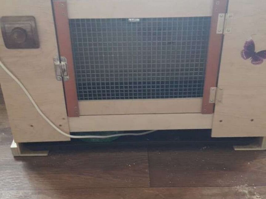 Домик для цыплят, брудер