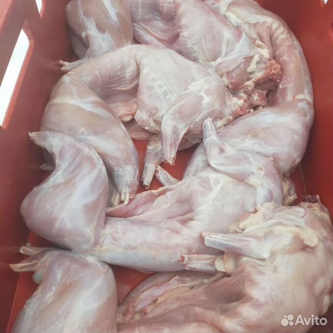 Мясо кролика,Крольчатина