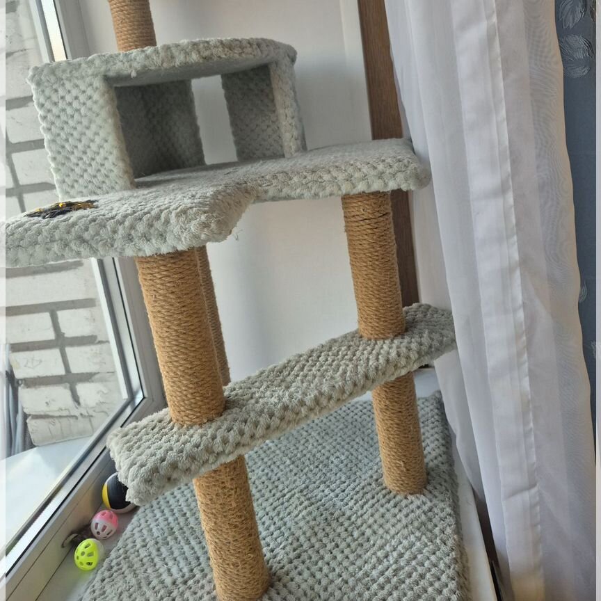 Когтеточка