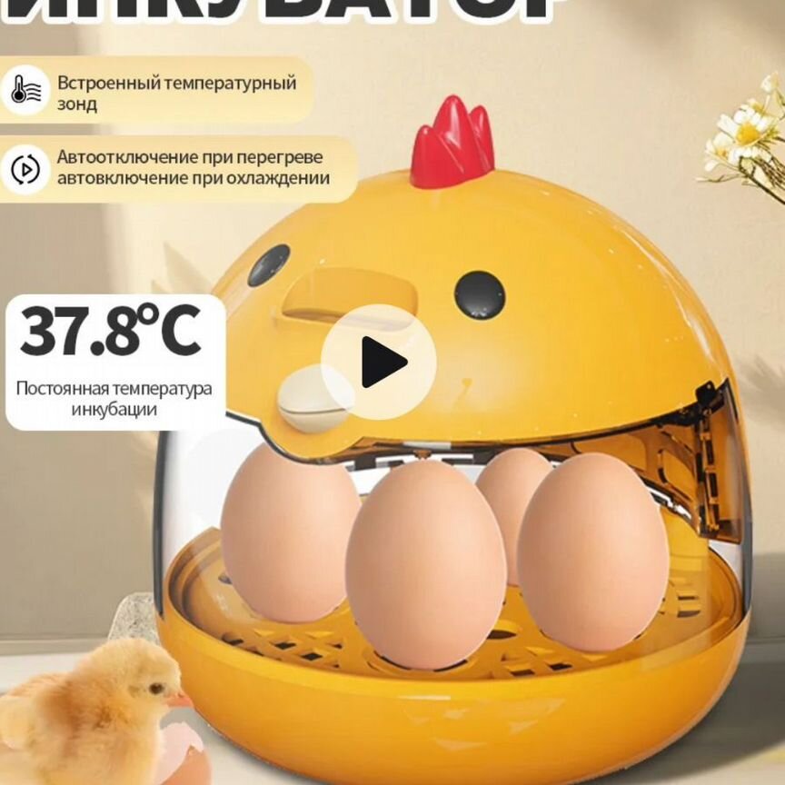 Инкубатор для яиц