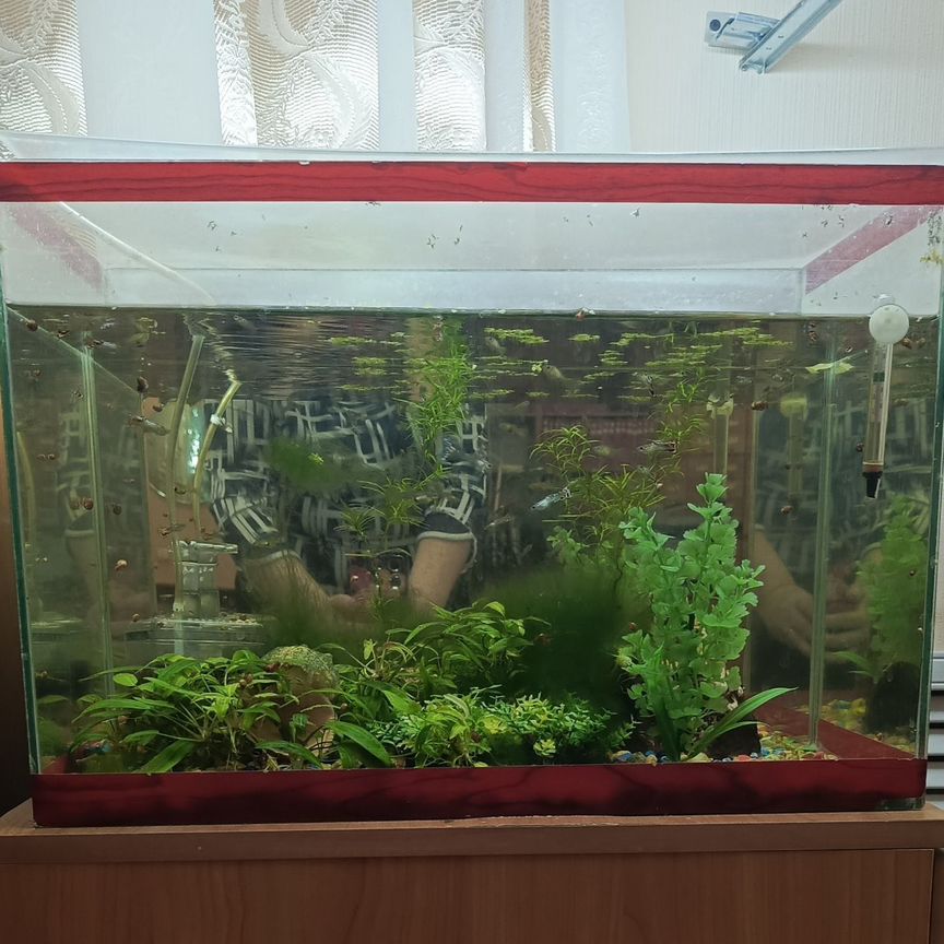 Продам аквариум с рыбками
