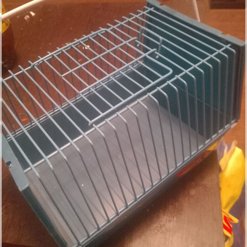 Переписка для грызунов