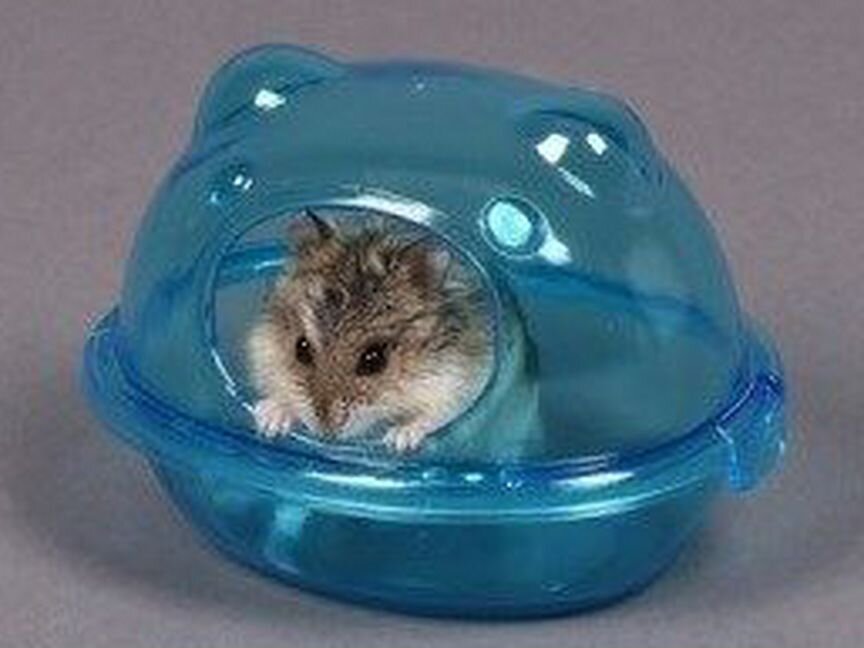 Купалка 10.7x8x7,5см Шурум-Бурум синяя для грызуно