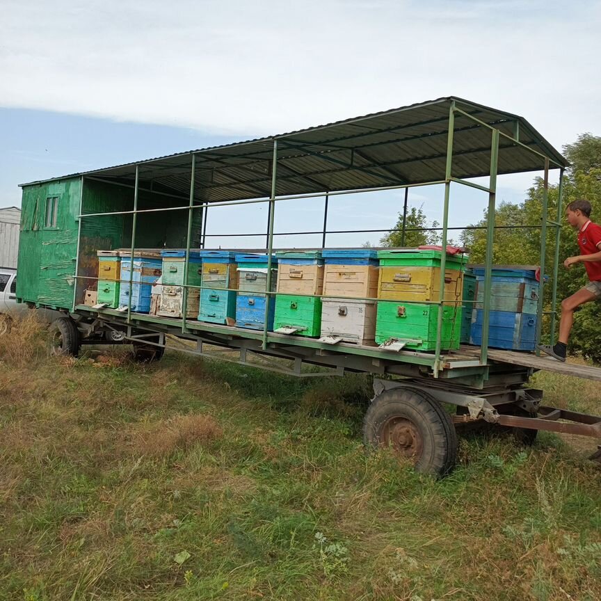 Продам пчелоприцепы