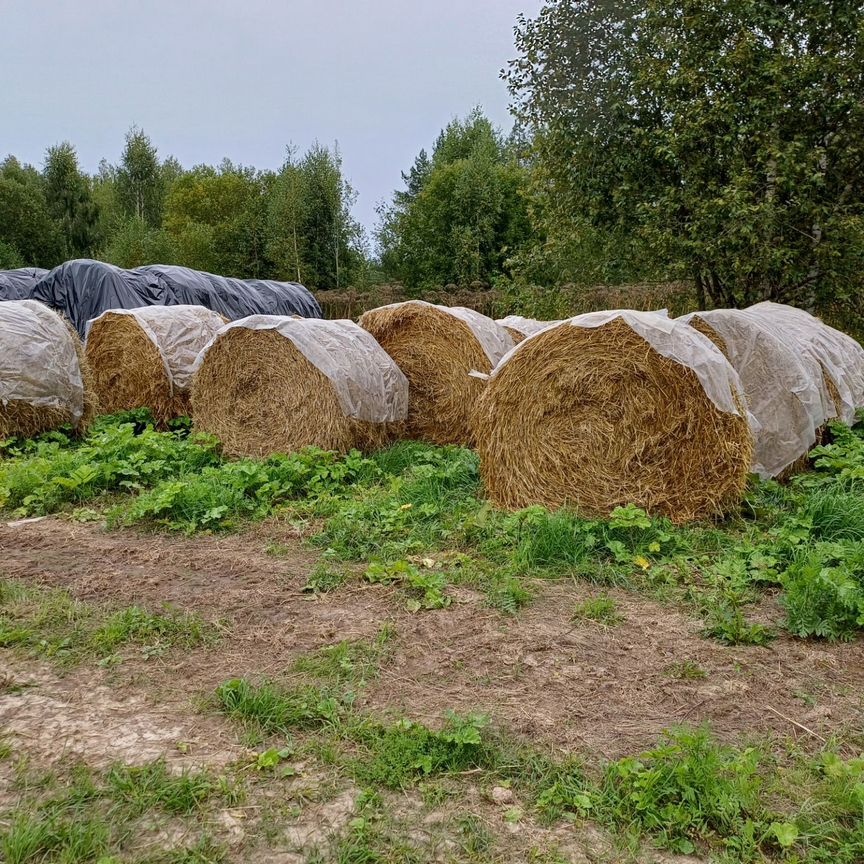 Солома в рулонах