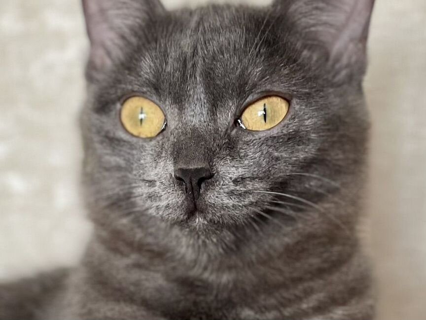 Малышка Ляля, 5 месяцев