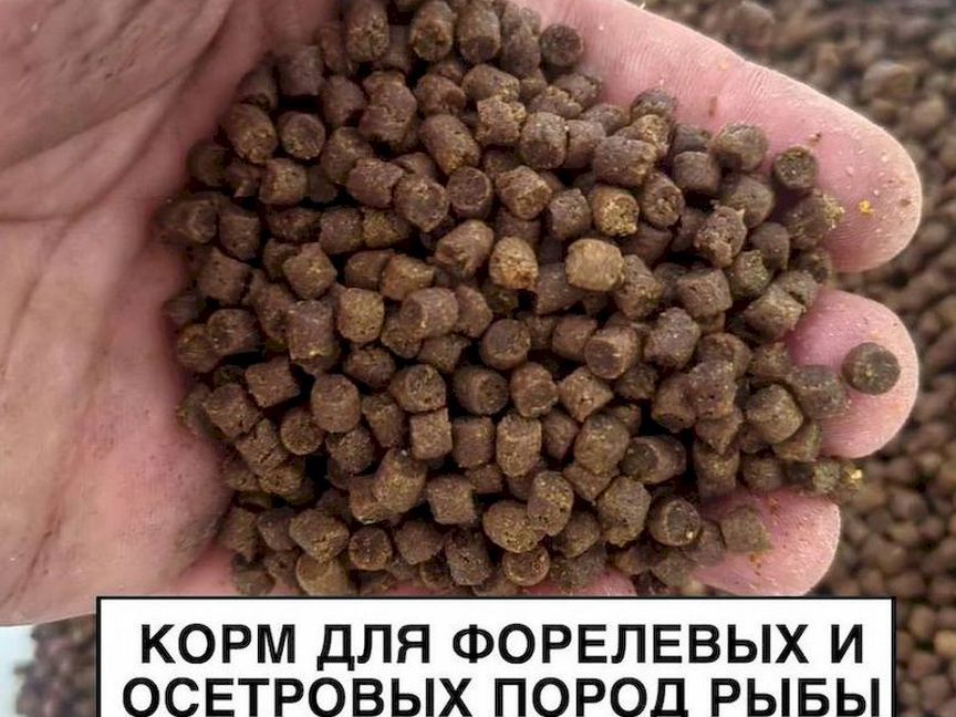 Корм для рыб