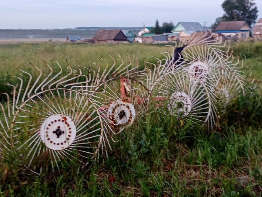 Сено в рулонах