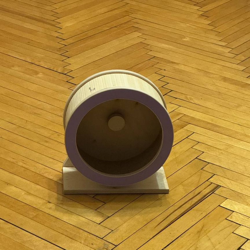 Колесо для грызунов диаметр 25 см