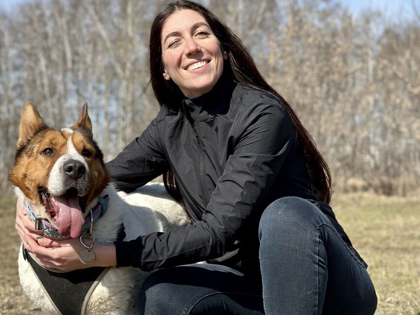 Невероятная собака пропадает в приюте