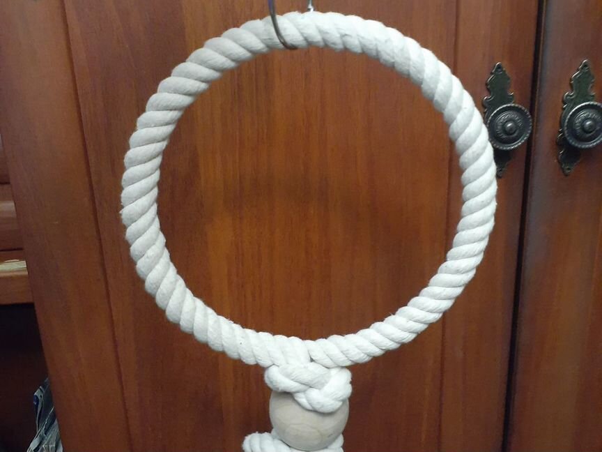 Кольцо для попугая