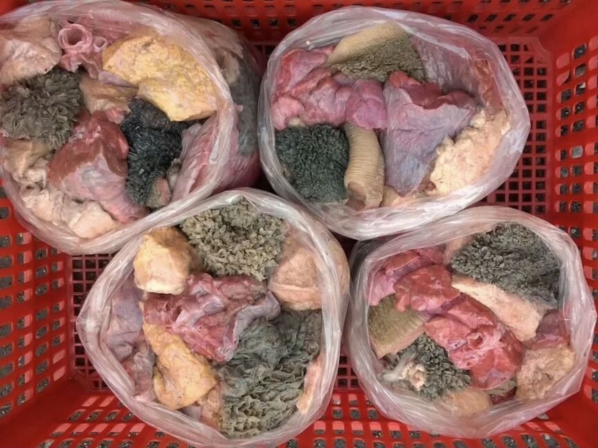 Готовые обеды для собак