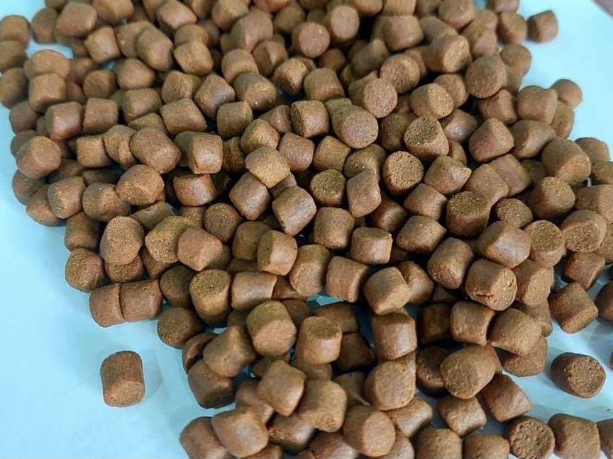 Корм для карпа