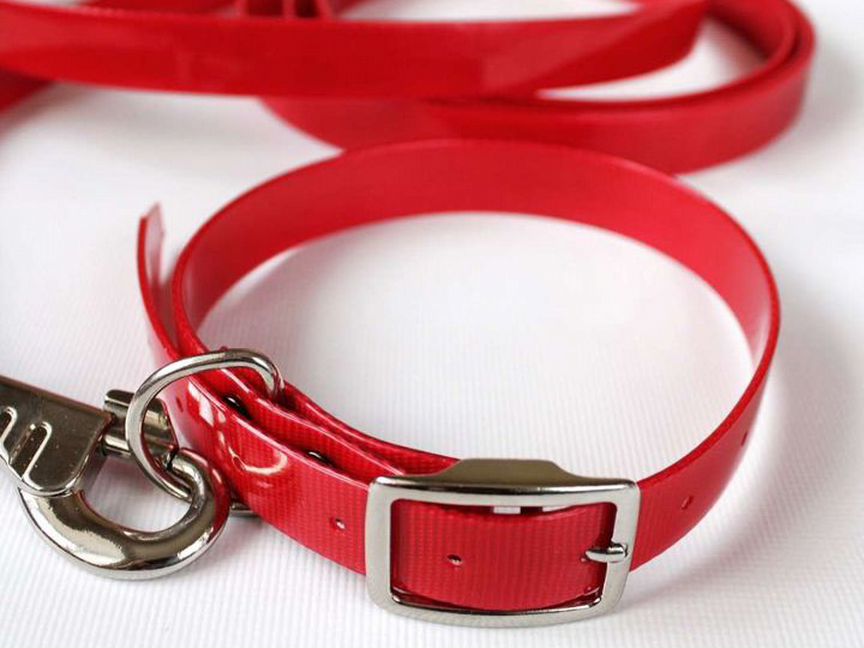 Ошейник для собак биотан