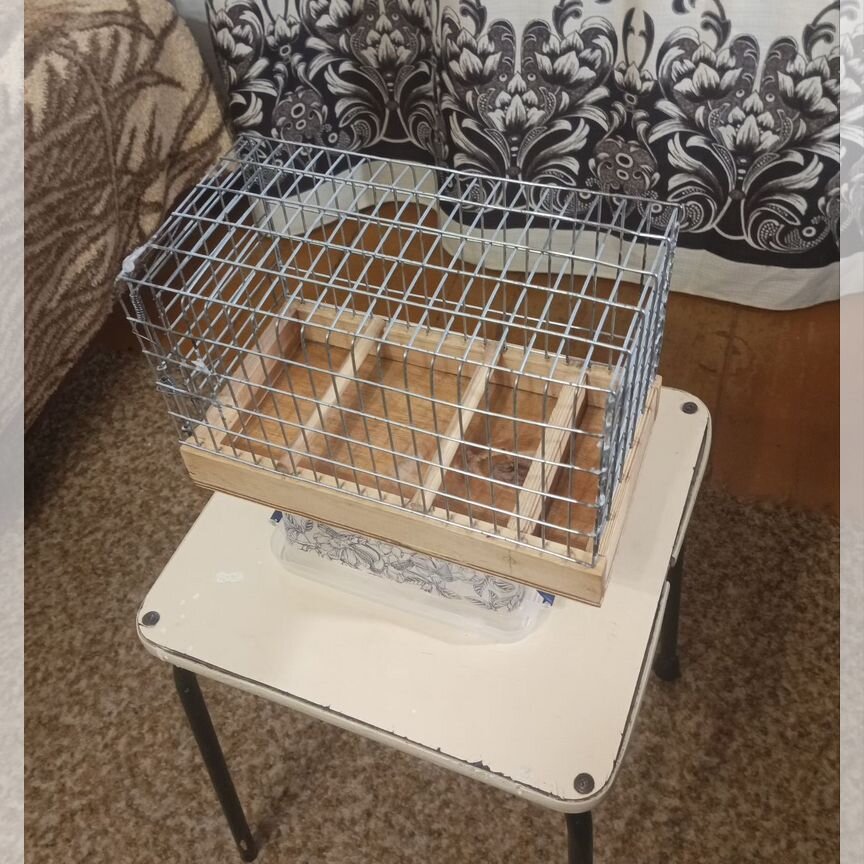 Переноса для птиц