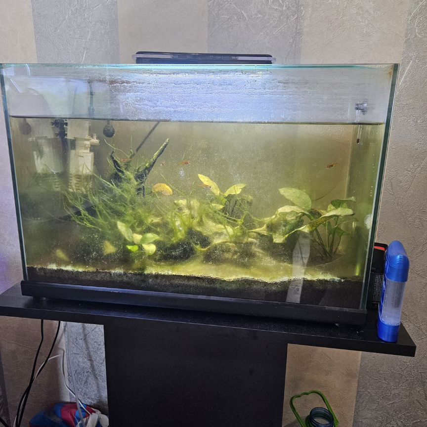 Аквариумы и тумбы 40л 10л