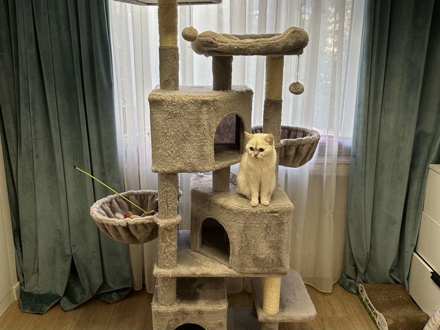 Продам стойку-когтеточку кошачий домик