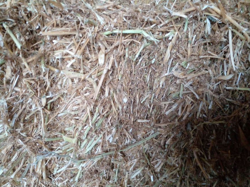 Солома в тюках