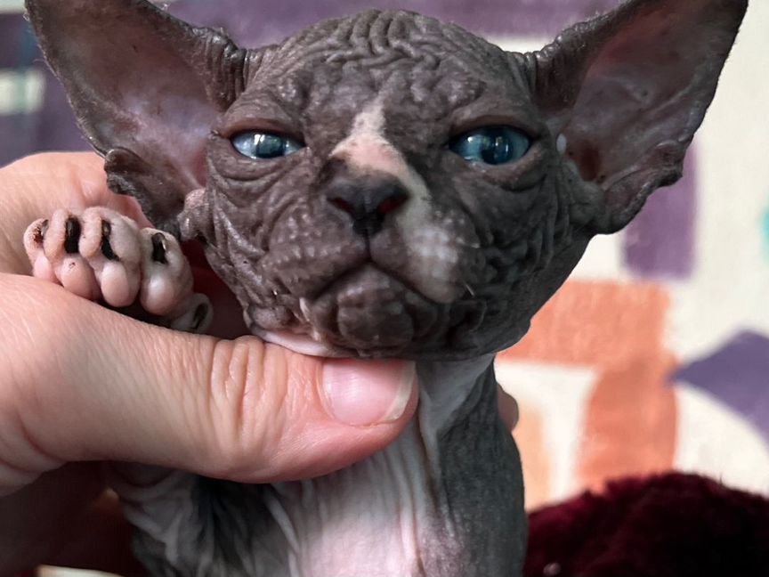 Милый малыш