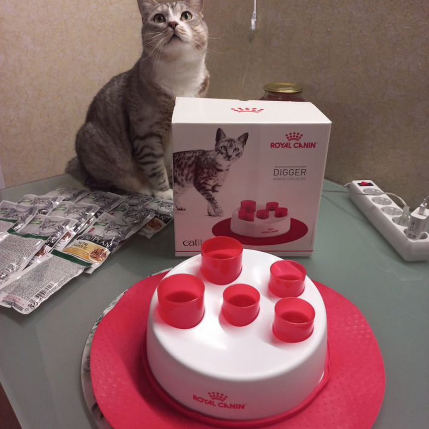 Кормушка для кошек интерактивная