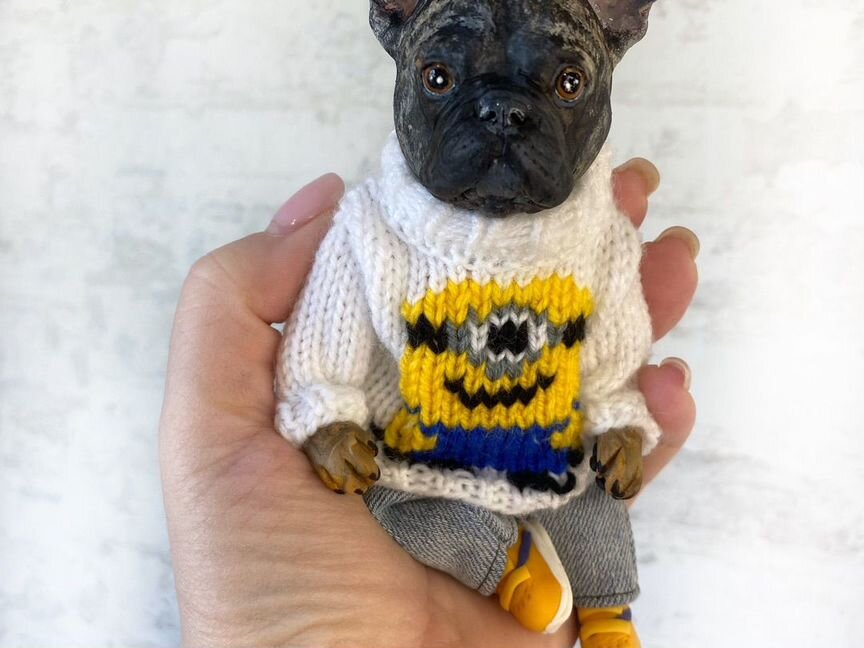 Французский бульдог Чипс