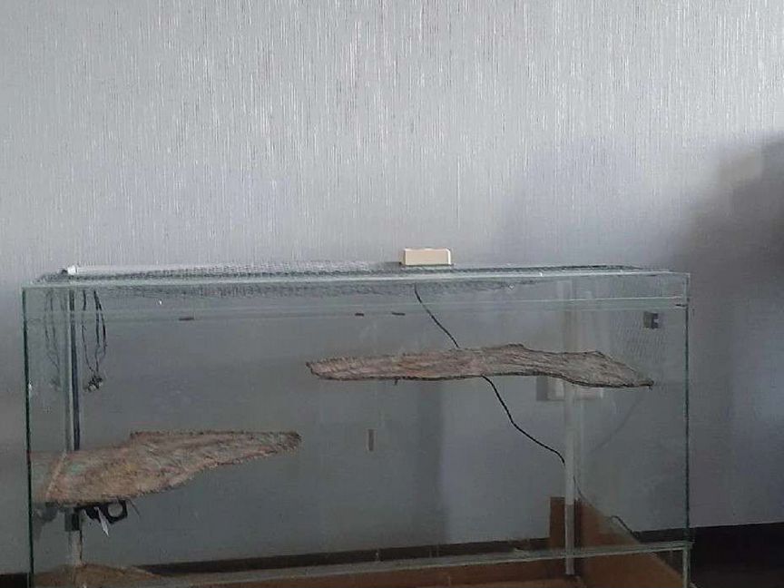 Аквариум - террариум большой