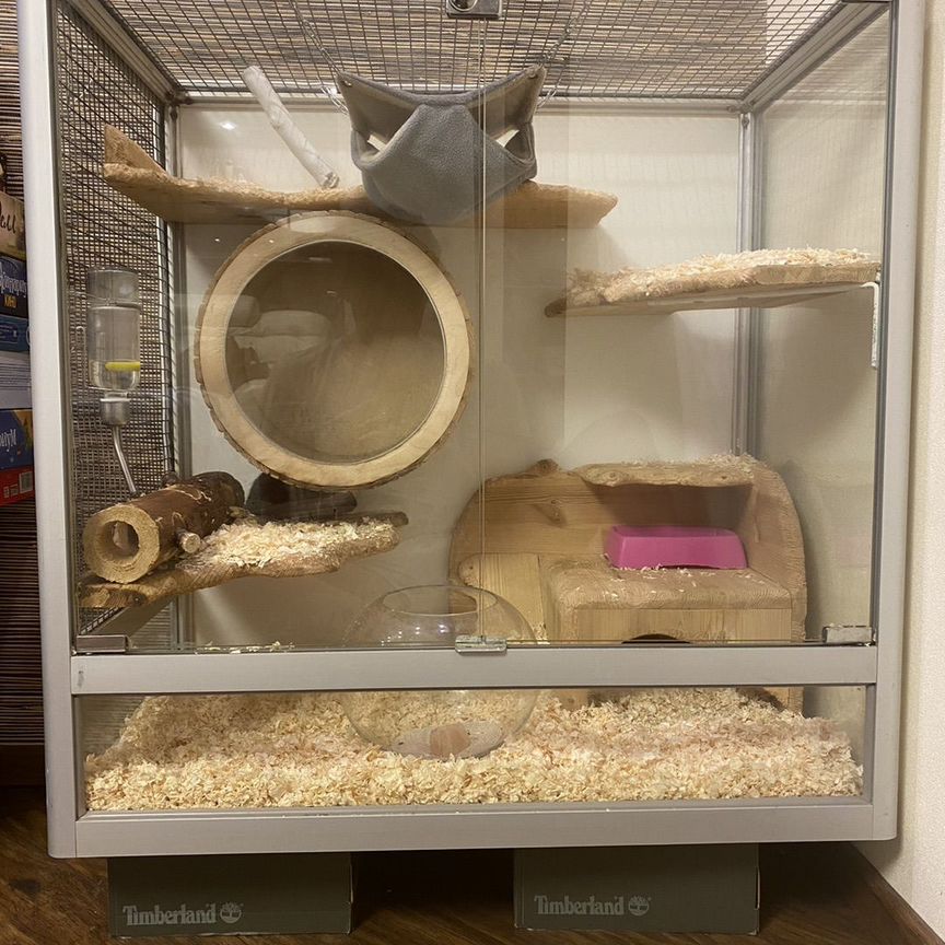 Витрина для белок, шиншилл и крыс