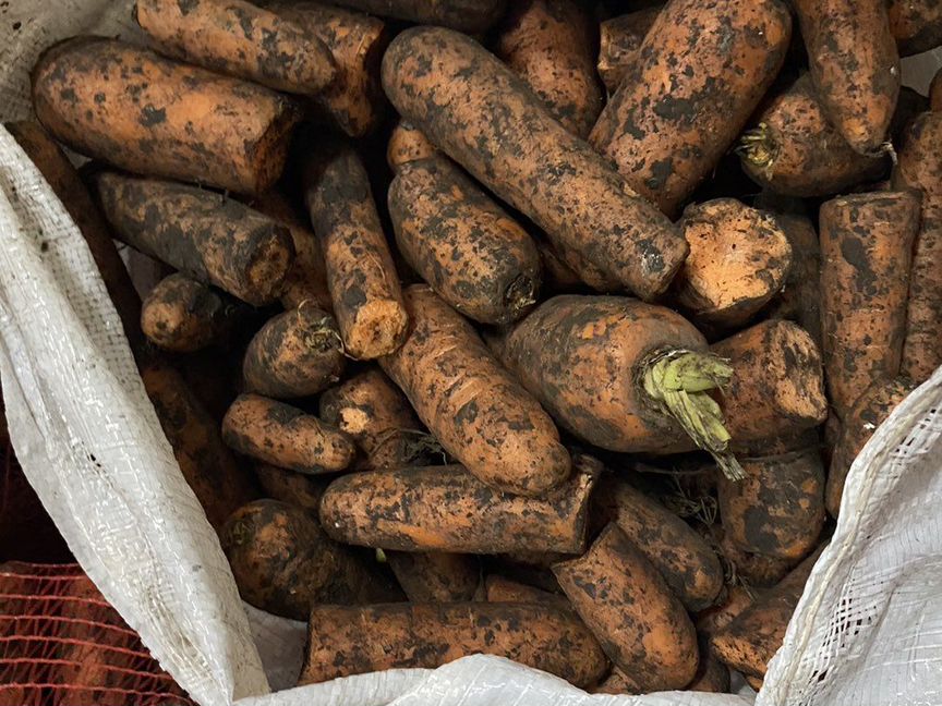 Морковь лом