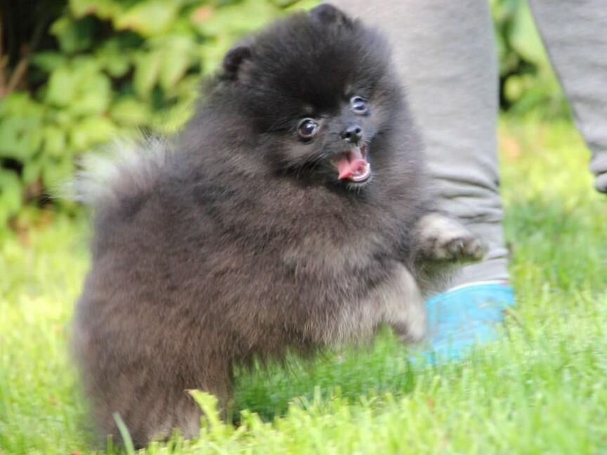 Шикарная девочка малышка