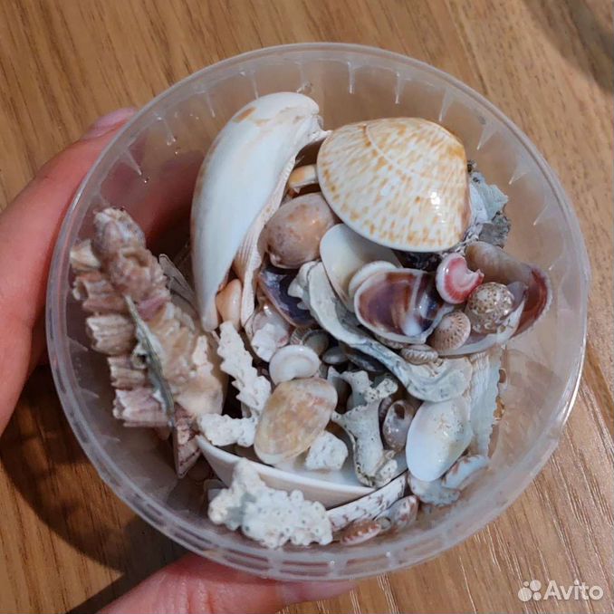 Морские ракушки, кораллы