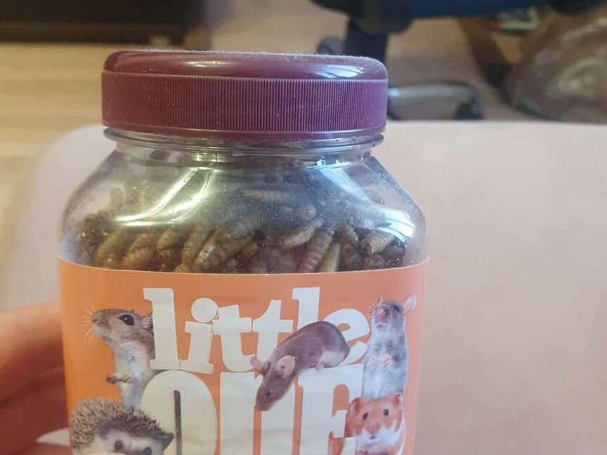 Лакомство для грызунов, смесь насекомых